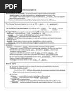 Brianbee Sample Questions 1 PDF | PDF | Brain | Neuron