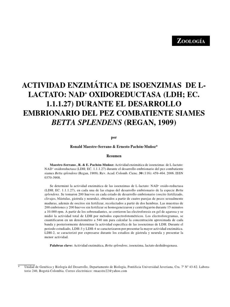 Actividad Enzimática de Isoenzimas | PDF | Glucólisis | Análisis de ...