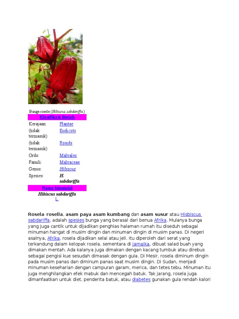 Bunga Rosela | PDF | Memasak, Makanan, & Anggur | Kesehatan Holistik