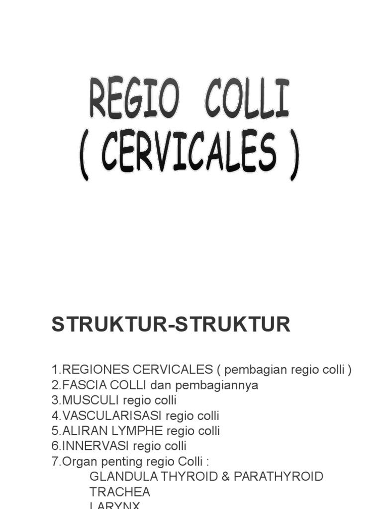 Regio Colli | PDF