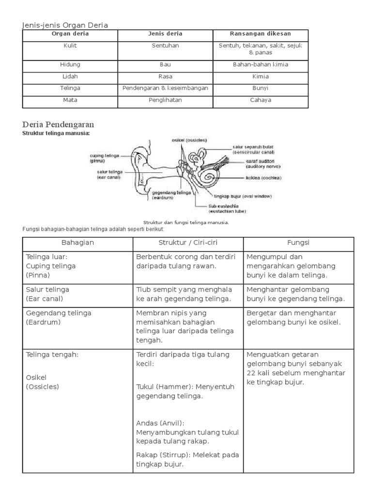 Form 2 Sains Nota | PDF