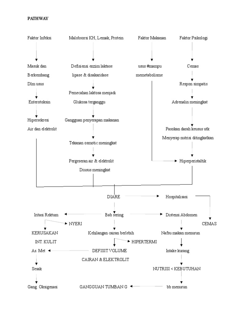 Pathway Diare | PDF | Kesehatan Holistik