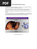 Amelia Meromelia Pie Equino Varo Grupo #2 M1-01 | PDF | Pie | El embarazo