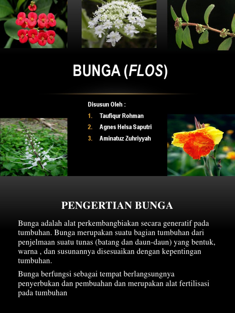 Bunga (Flos) | PDF