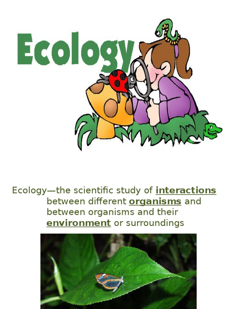 Chapter 1 Ecology | PDF | Food Web | Environmental Science