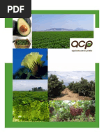 Agricola Cerro Prieto | PDF | Almacén | Mercado (economía)