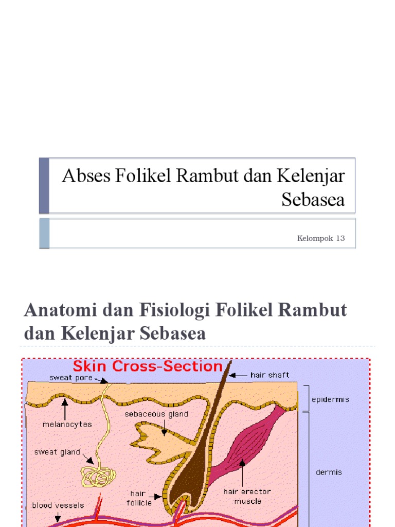 Abses Folikel Rambut Dan Kelenjar Sebasea | PDF