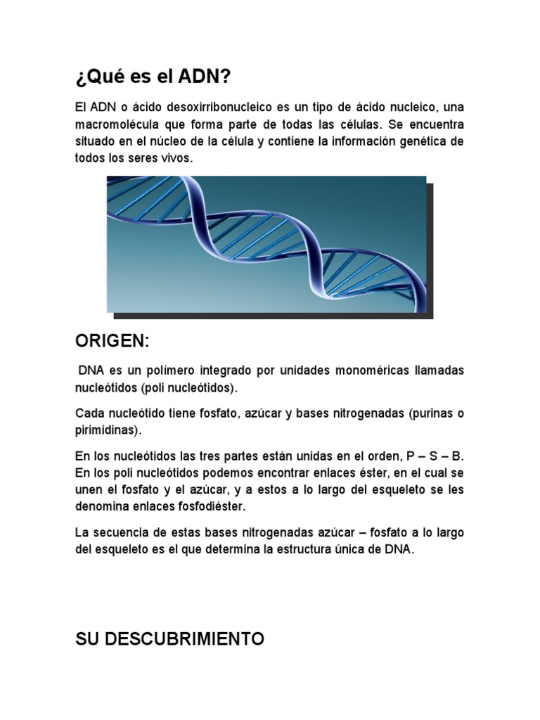 Qué es el ADN | Ácidos nucleicos | Adn