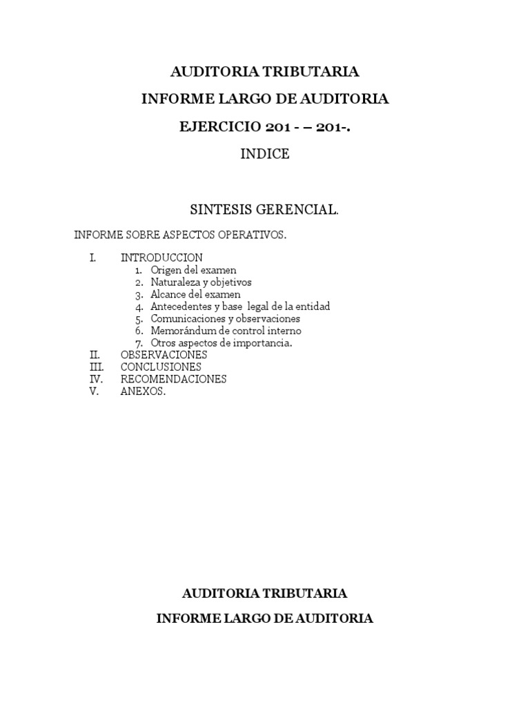 Modelo Informe Largo de Auditoria | PDF | Auditoría financiera | Contabilidad