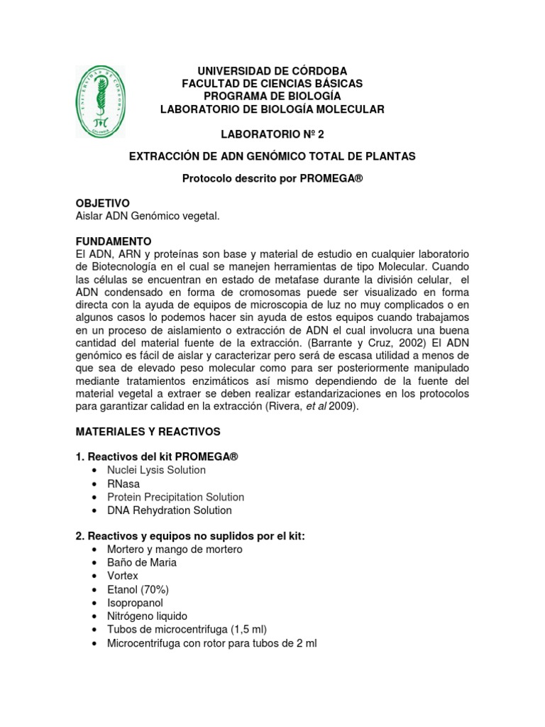 Lab Extracción de ADN Vegetal | PDF | Adn | Biología Molecular