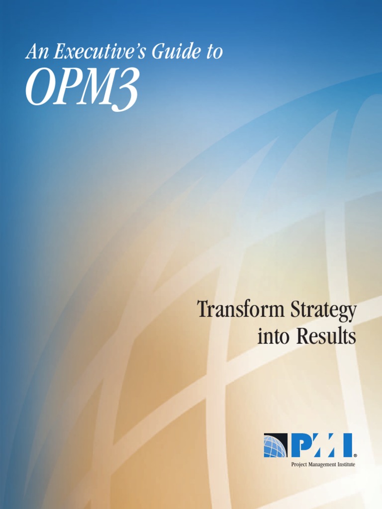 Opm 3 Exec Guide | PDF | Project Management | Business
