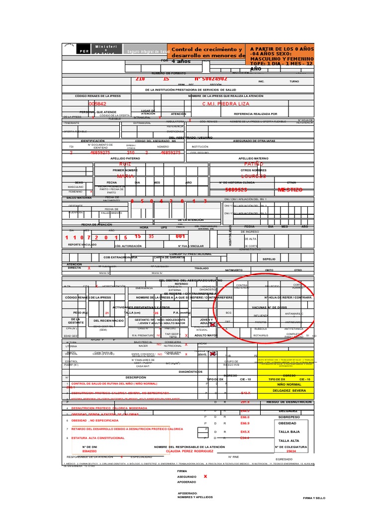 Correcto Llenado de Fua Nivel i Enfermeria