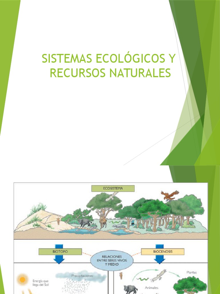 Sistemas Ecologicos | PDF | Ecosistema | Ecología