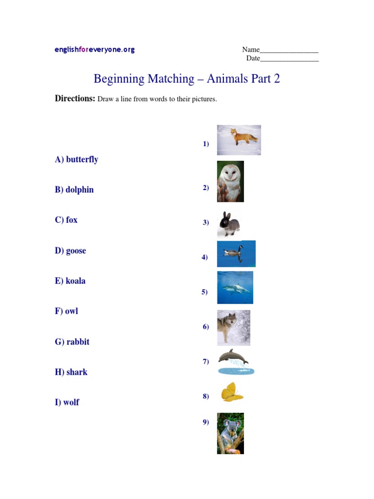 Animal Matching Activity | PDF