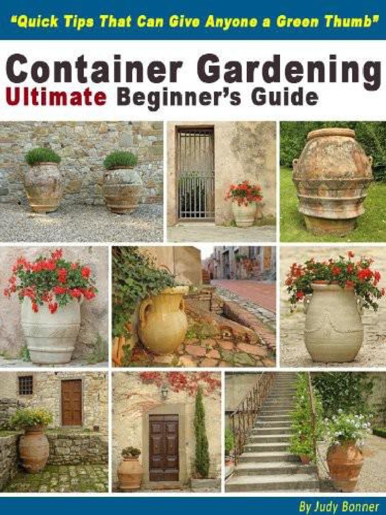Beginner's Guide to Container Gardening | PDF | Plants | Vegetables