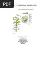 Using Bioedit | PDF | Sequence Alignment | Biotechnology