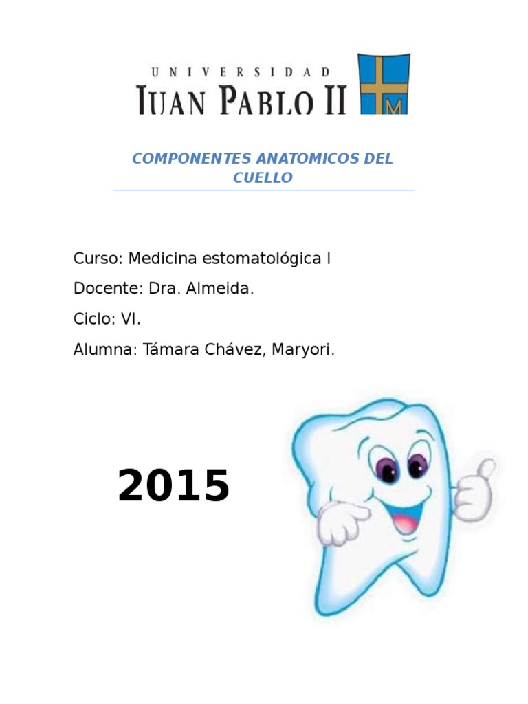 Componentes Anatomicos Del Cuello | PDF | Cabeza y cuello humanos ...