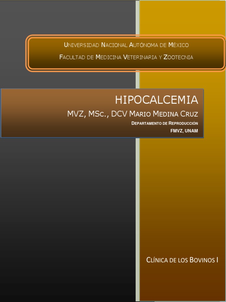 Hipocalcemia en Bovinos: Grados y Manejo | PDF | Vacas | Calcio