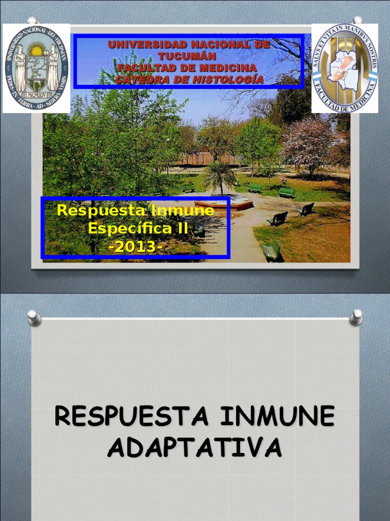 Inmunidad Especifica Ii | PDF | Sistema inmune | Antígeno