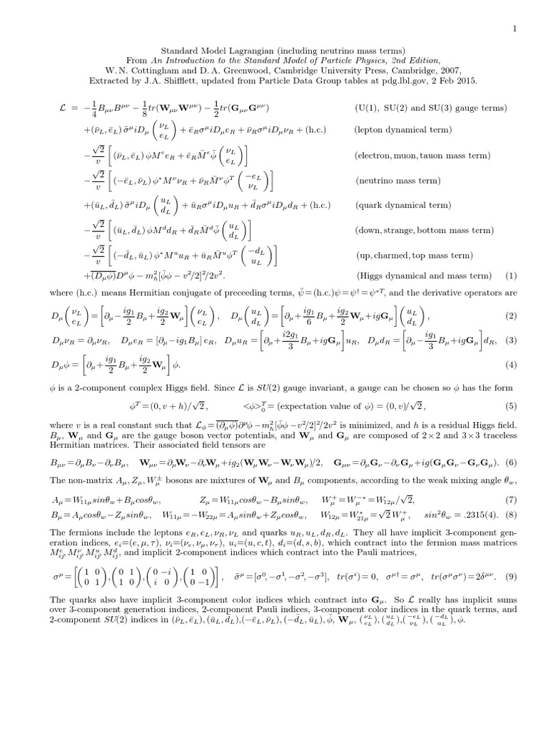 Standard Model Lagrangian | PDF | Higgs Boson | Electronvolt