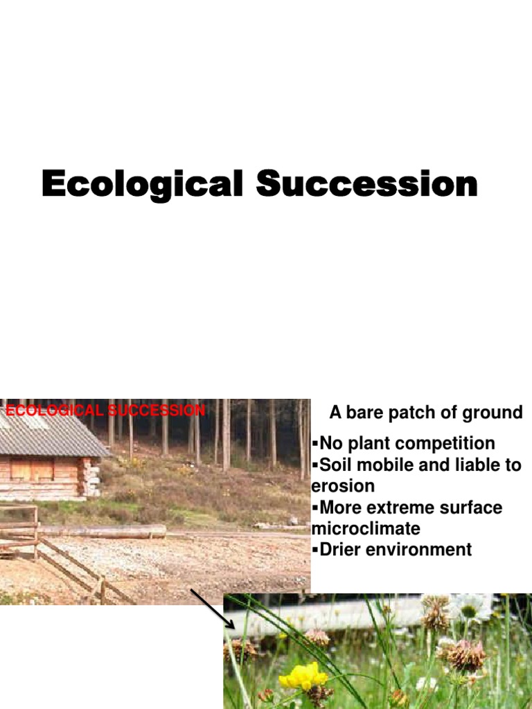 Ecological Succession | PDF | Ecology | Landscape Architecture