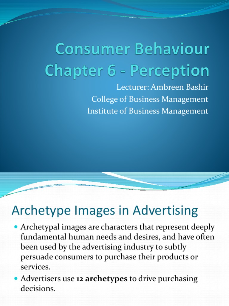 Chapter 6 - Perception - Consumer Behavior 11e | PDF