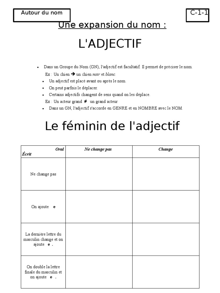 Règles d'accord des adjectifs en français | PDF