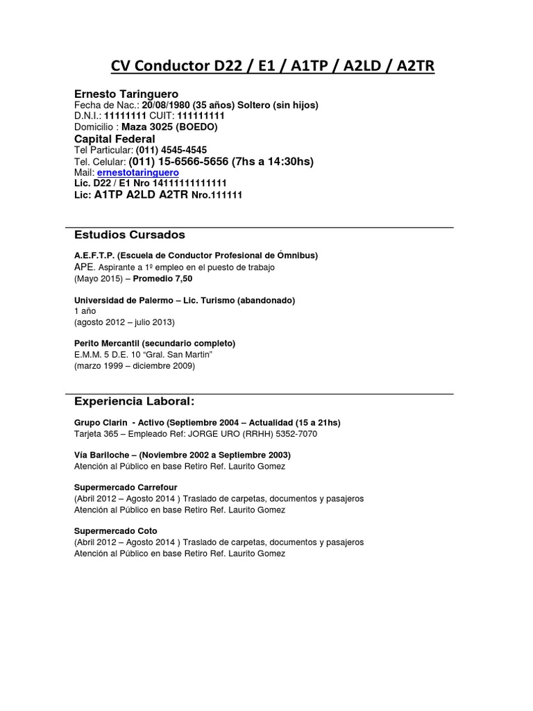 Modelo Curriculum Vitae Conductor Profesional CV 2020.pdf
