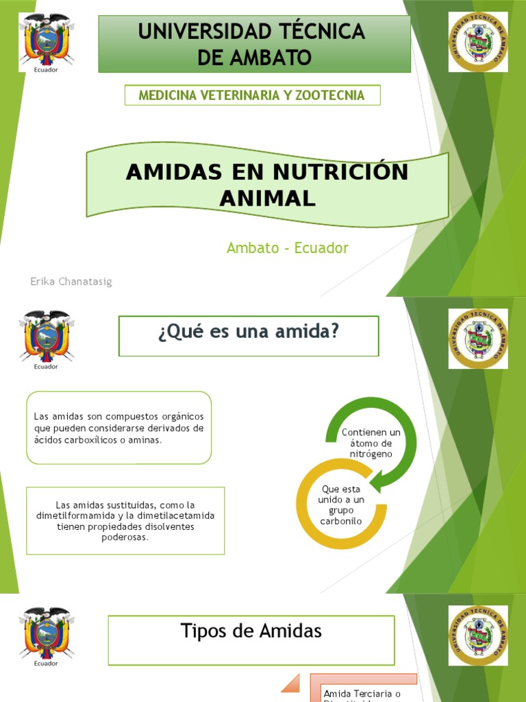 Amidas | PDF | Amida | Compuestos orgánicos