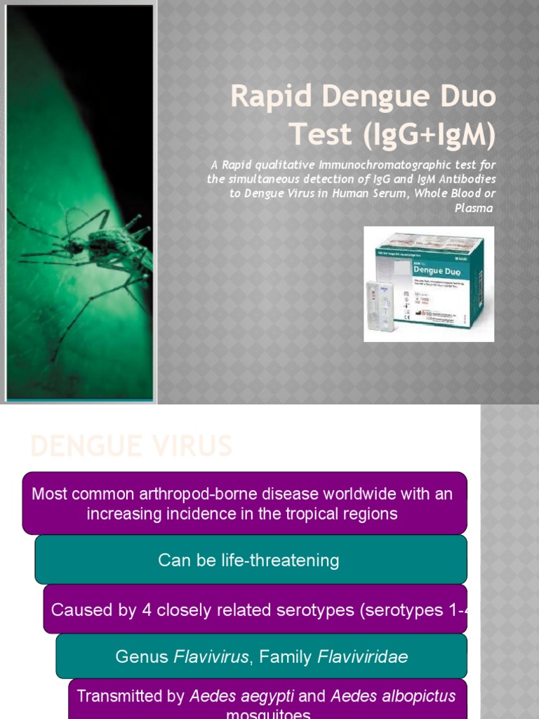 Dengue Duo Rapid Test | PDF | Infection | Animal Viral Diseases