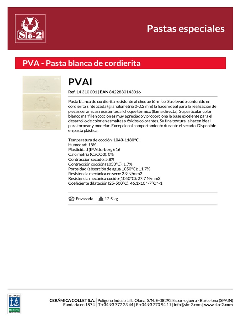 PVAI17615 PVA - Pasta Blanca de Cordierita | PDF | Química Física ...
