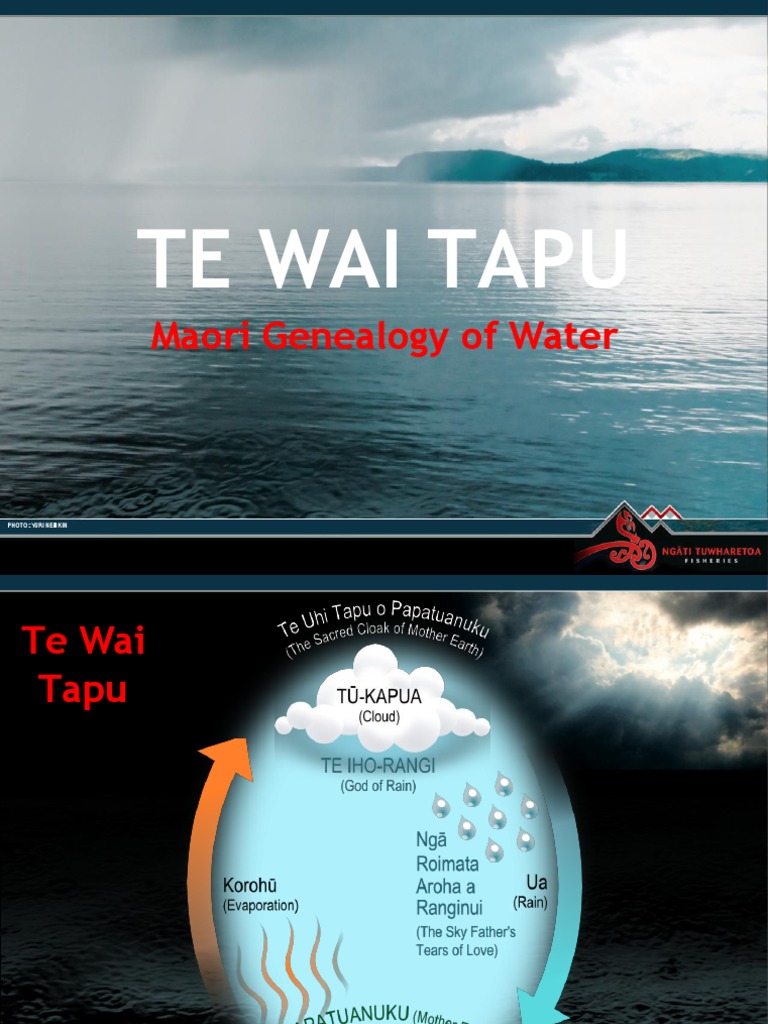 Te Whakapapa o Te Wai | PDF | Māori People | Indigenous Peoples Of ...
