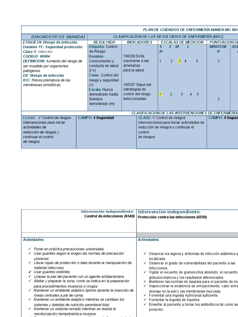 PLAN DE CUIDADOS DE ENFERMERÍA NANDA NIC NOC NIC..infeccion | PDF