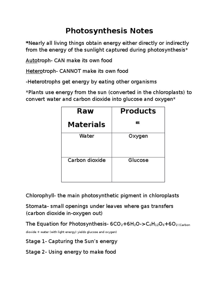 Photosynthesis Overview and Process | PDF
