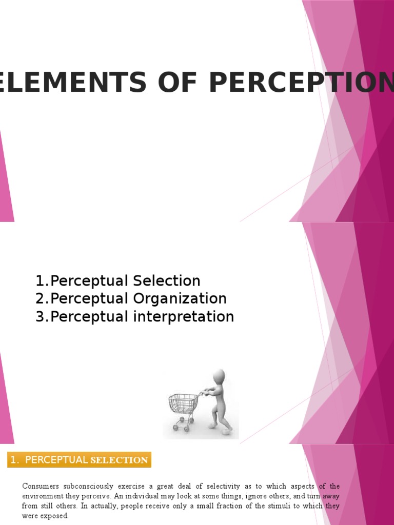 Elements of Perception | PDF | Perception | Consumer Behaviour
