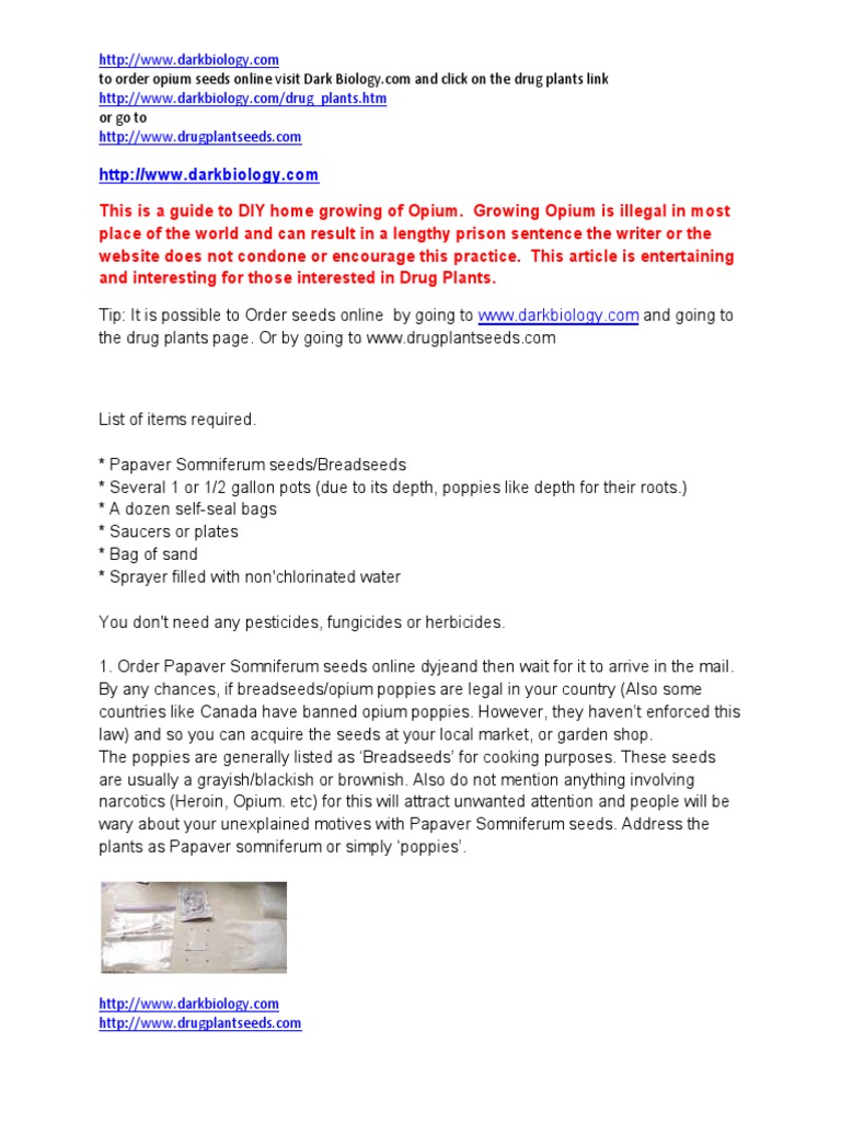 Diy How To Grow Opium at Home | PDF | Opium | Germination