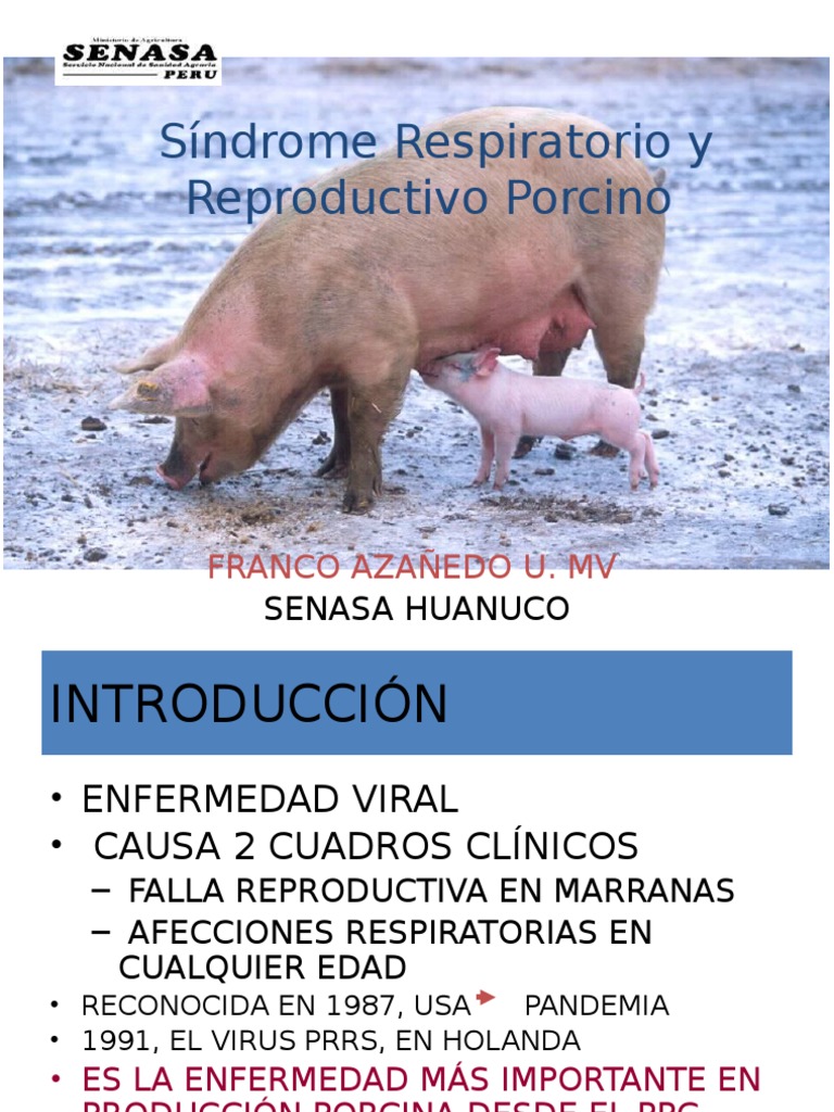 Colera Porcina en Cerdos | PDF | Árbol de la vida (biología) | Ciencias ...