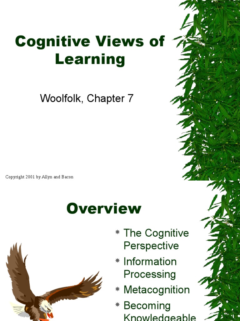 Cognitive Views of Learning: Woolfolk, Chapter 7 | PDF | Metacognition ...