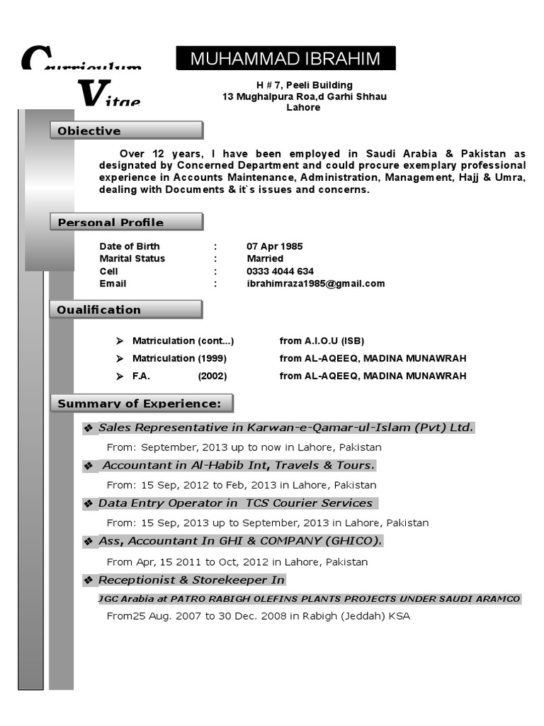 Ibrahim CV | PDF | Information Technology | Computing