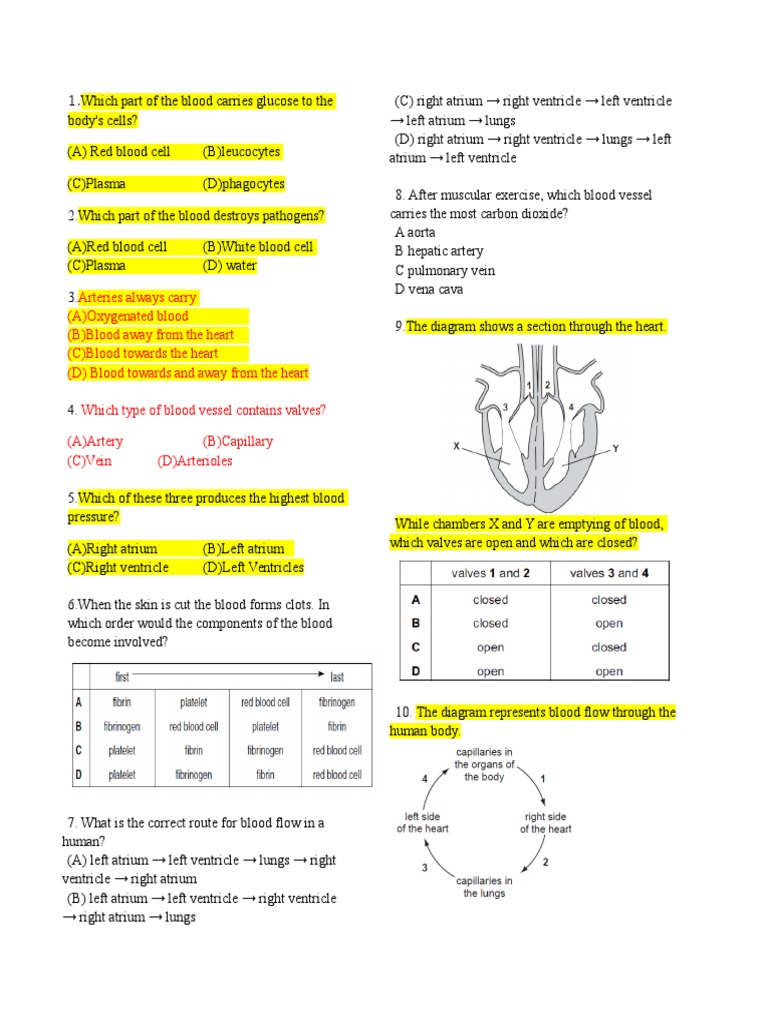 Cardiovascular System Quiz Questions | PDF | Circulatory System ...