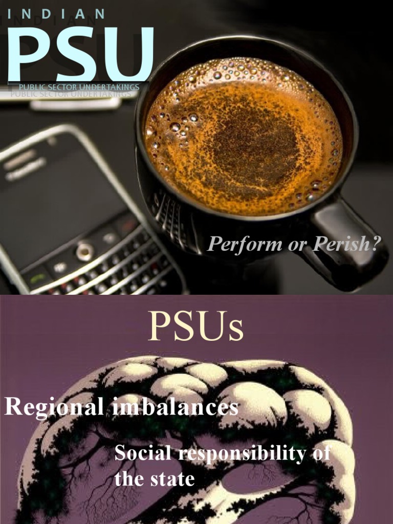 Perform or Perish?: I N D I A N | PDF | Corporations | Companies