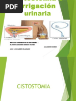 CISTOCLISIS | PDF | Vejiga urinaria | Orina