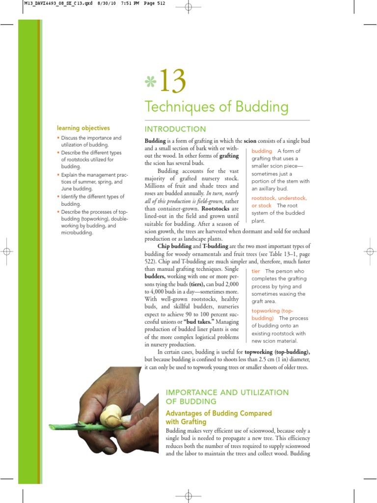 Techniques of Budding | PDF | Grafting | Plant Nursery