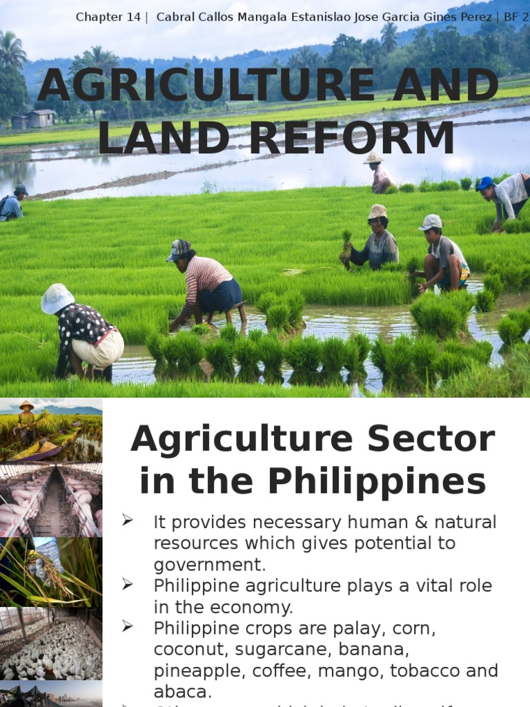 Agrarian Reform in The Philippines | PDF | Agriculture | Food Security