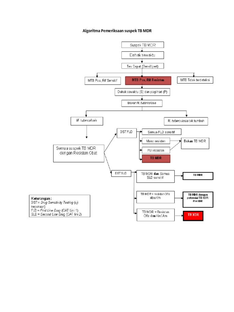 Algoritma Pemeriksaan Suspek TB MDR Dan TB HIV PDF | PDF