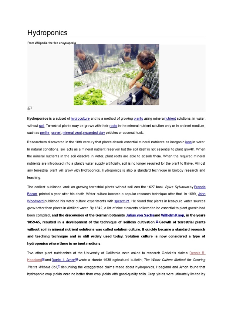 Hydroponics | PDF | Hydroponics | Plant Nutrition