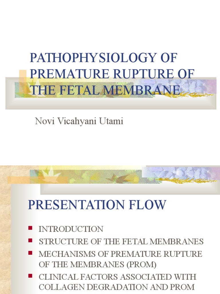REFERAT - Ppt.pathophysiology of PROM-novi | PDF | Preterm Birth ...