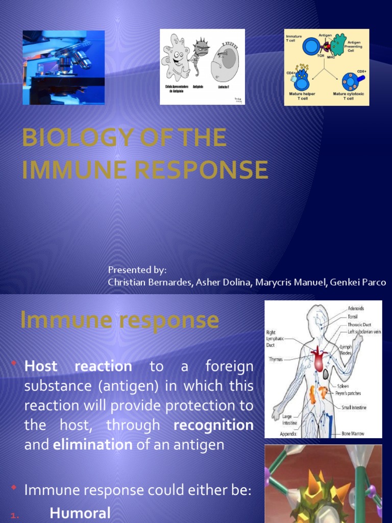 Immune Response: Key Mechanisms Explained | PDF | Immunology | T Cell