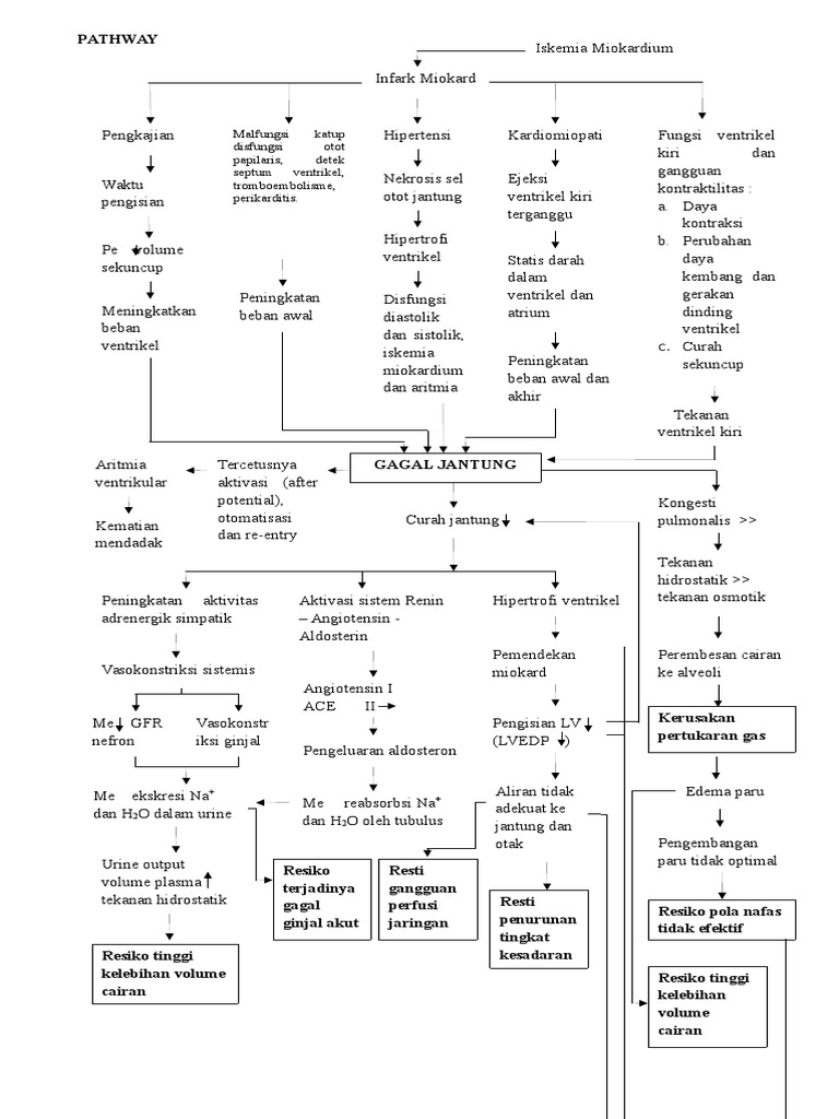 Pathway CHF | PDF