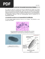 Dilution Alcool Gay Lussac | PDF